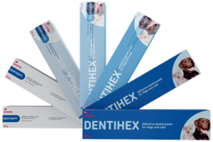 DENTIHEX® - A reason to smile