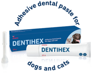 Product - DENTIHEX®