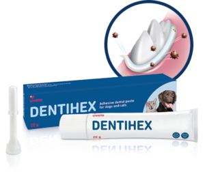 DENTIHEX® - A reason to smile